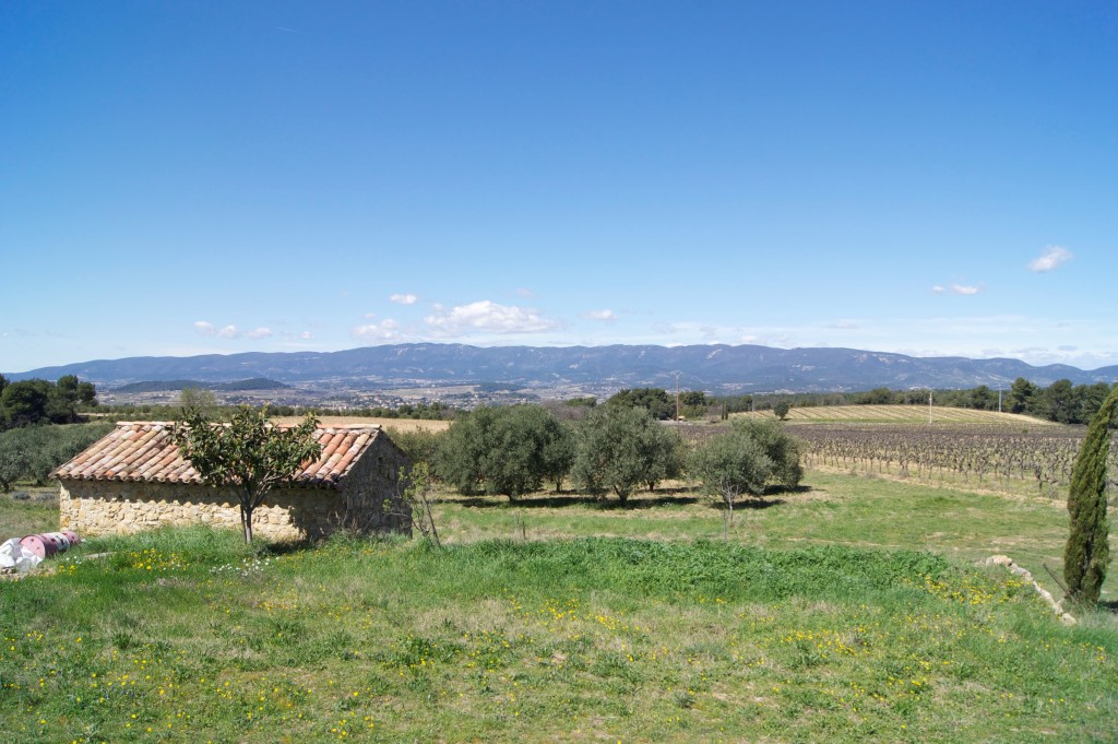 Vue panoramique sur le massif du Luberon depuis le Domaine Les Perpetus ...